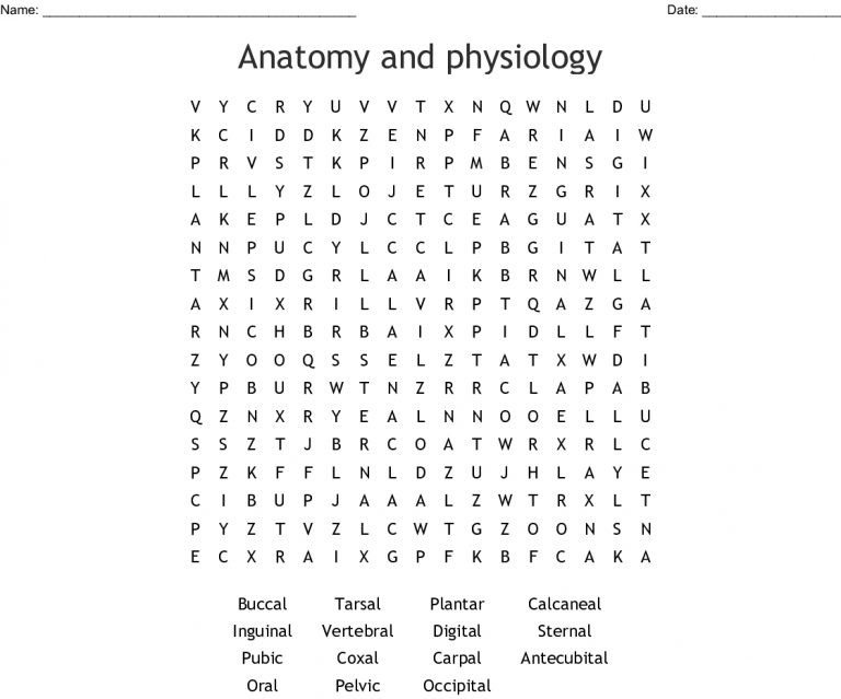Anatomy And Physiology Word Search Printable - Word Search Maker